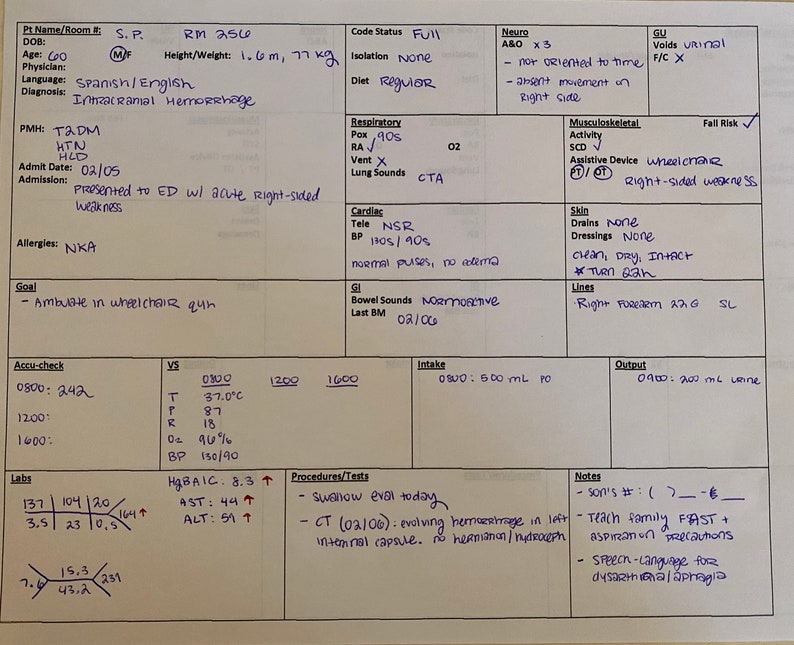 Nurse Report Sheet: RN Handoff Tool, Medication Log (PDF Template) - Etsy