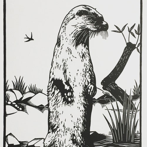 Otter an Original Linocut Print of a River Otter Curled up - Etsy