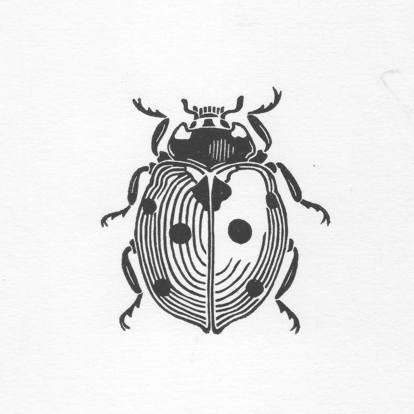 Ladybird | Ladybug | Handmade Linocut Print | INK821 - Etsy