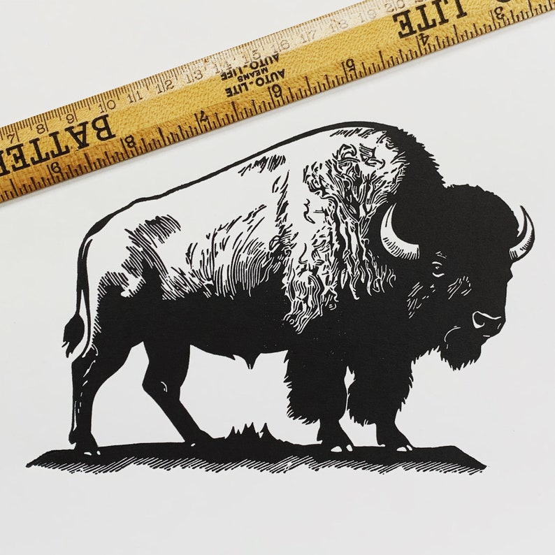 Bison | Handmade Limited Edition Linocut Print | INK806 - Etsy