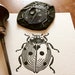Ladybird Ladybug Handmade Linocut Print - Etsy