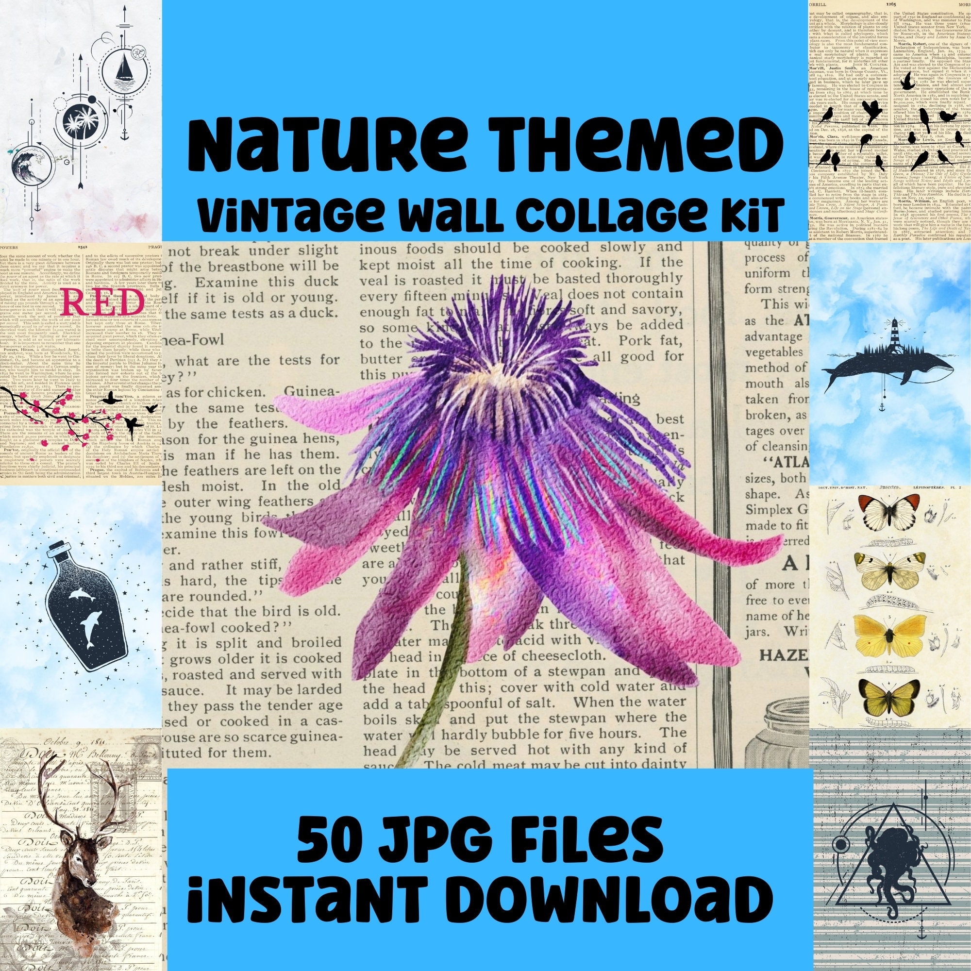 Vintage Nature Themed Wall Collage Kit / INSTANT DOWNLOAD / 50 46 Inch ...