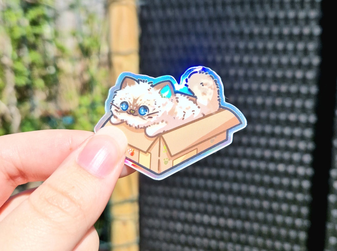 Holographic Cat in a Box Vinyl Sticker - Etsy