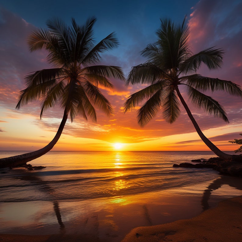 Paradise Tropical Beach Sunset Digital Print - High Quality Instant ...