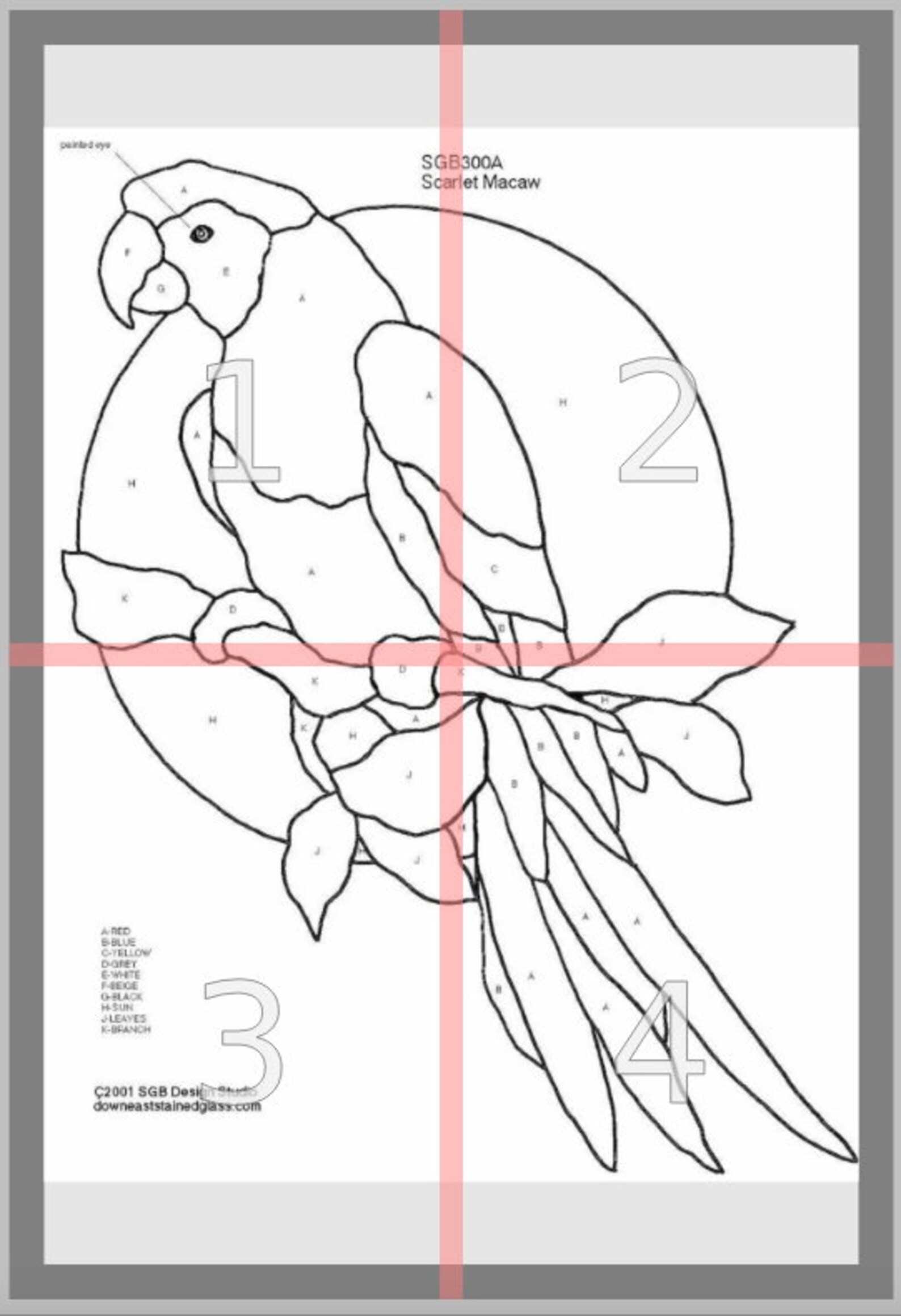 Red Macaw Stained Glass Pattern - Etsy