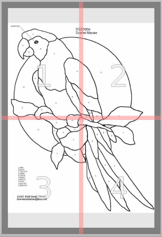 Red Macaw Stained Glass Pattern - Etsy