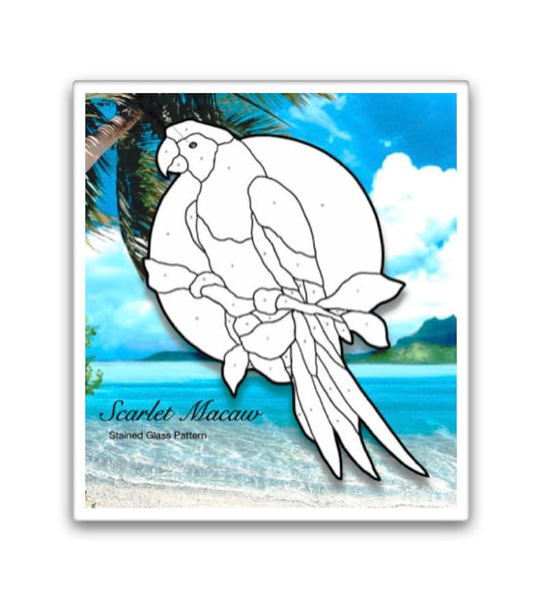 Red Macaw Stained Glass Pattern - Etsy