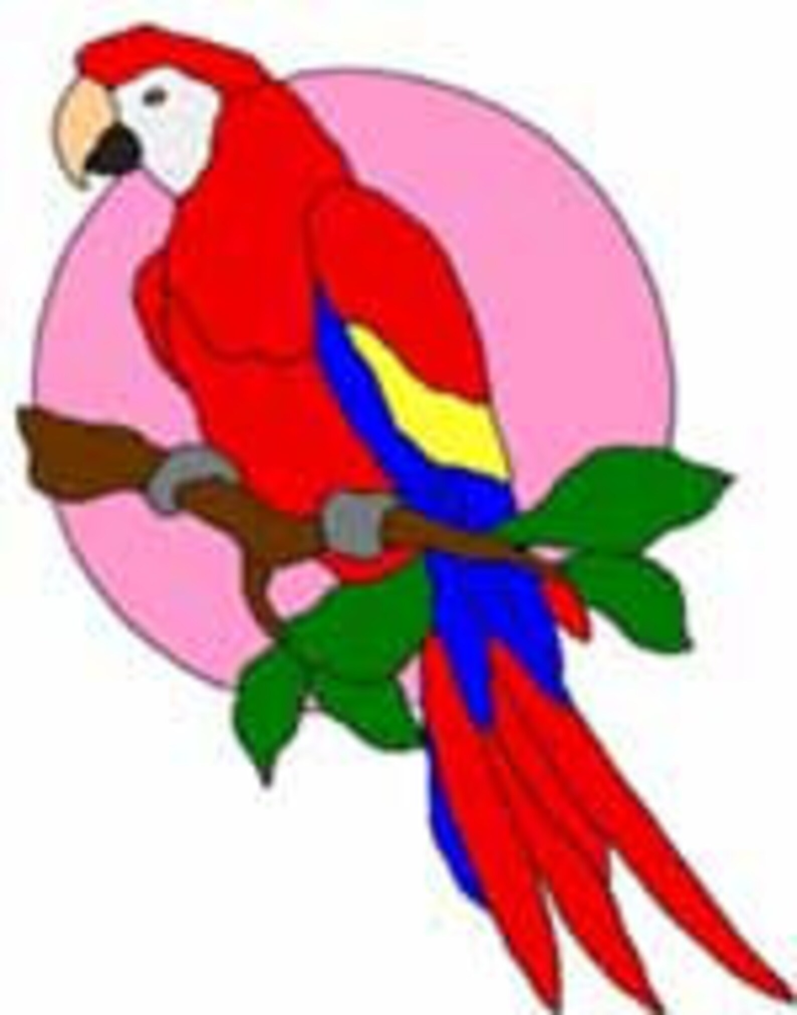 Red Macaw Stained Glass Pattern - Etsy