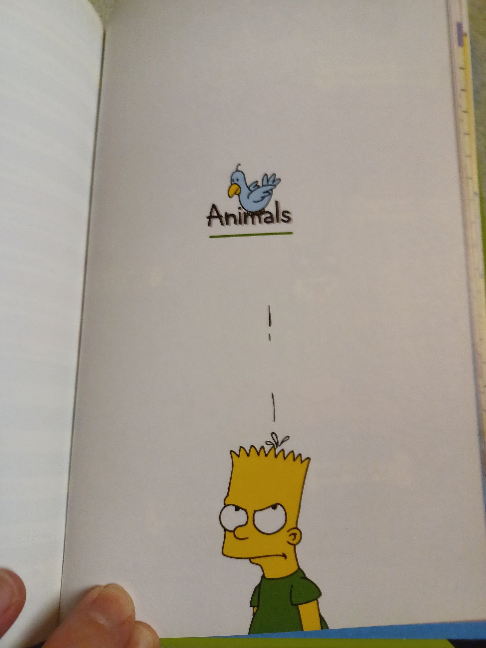 Bart Simpson's Guide to Life - Etsy
