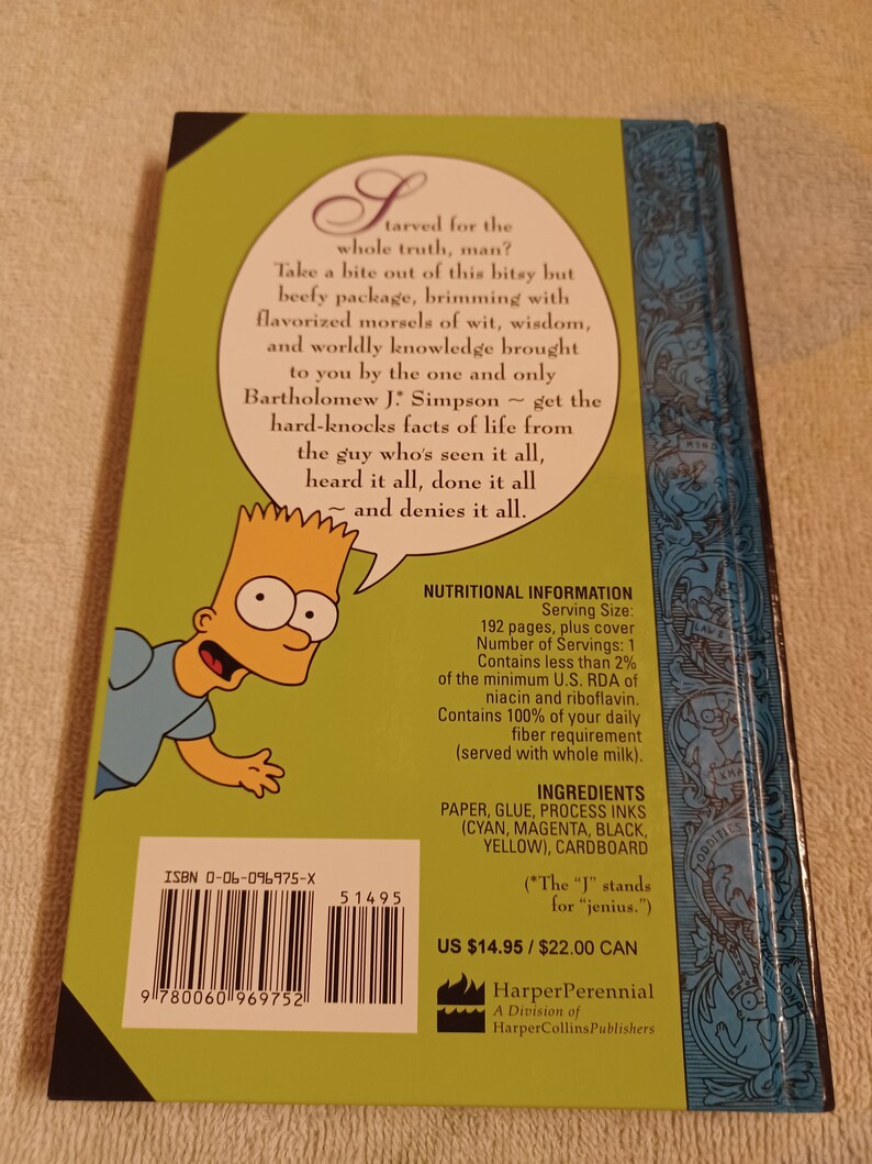 Bart Simpson's Guide to Life - Etsy
