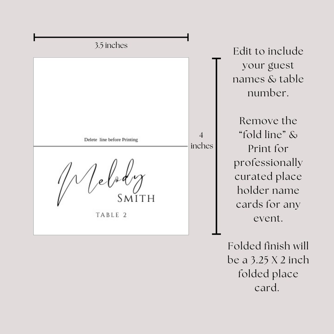 Folded Name Cards, Place-holder for Reception, Wedding Table Names ...