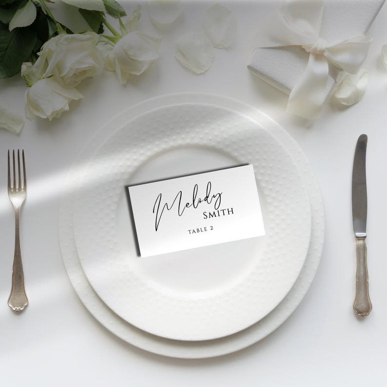 Folded Name Cards, Place-holder for Reception, Wedding Table Names ...