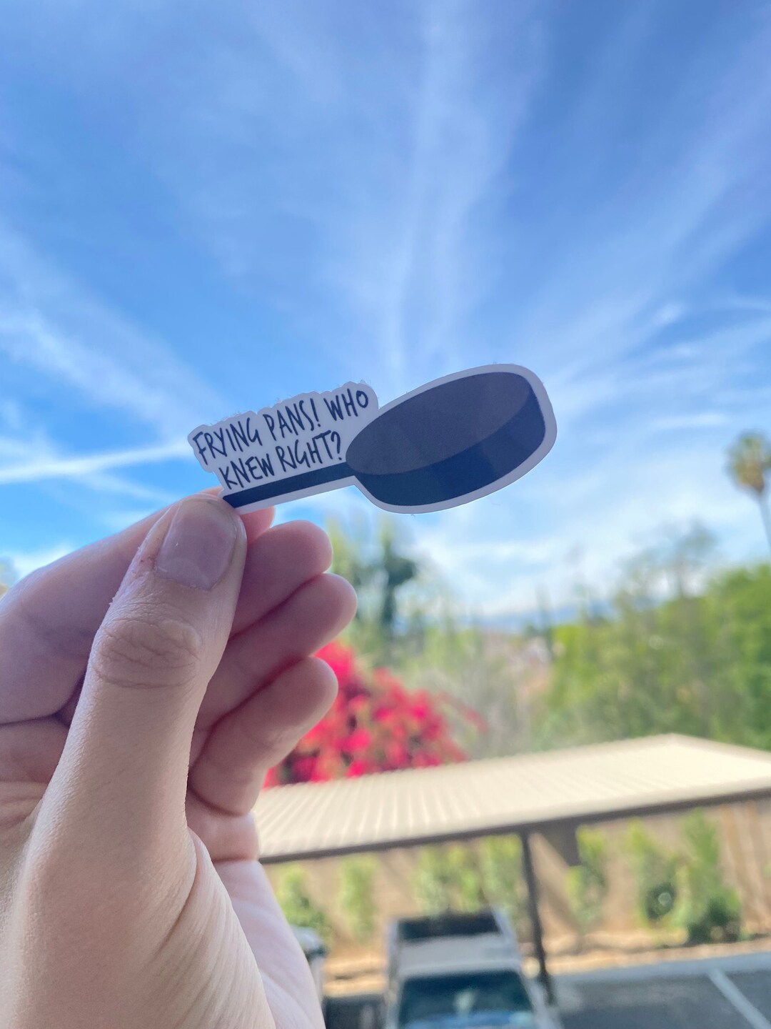 Frying Pans Who Knew Right Sticker Sticker Pack, Laptop Sticker, Water ...