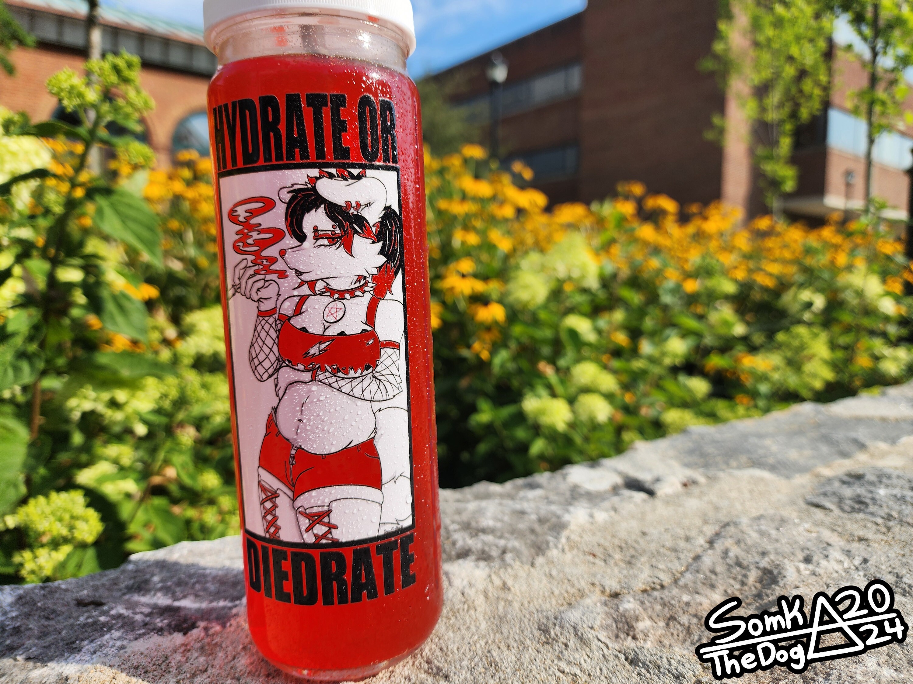 Furry Thirst Trap "hydrate or Diedrate" Clear Glass Water Bottles 20z ...