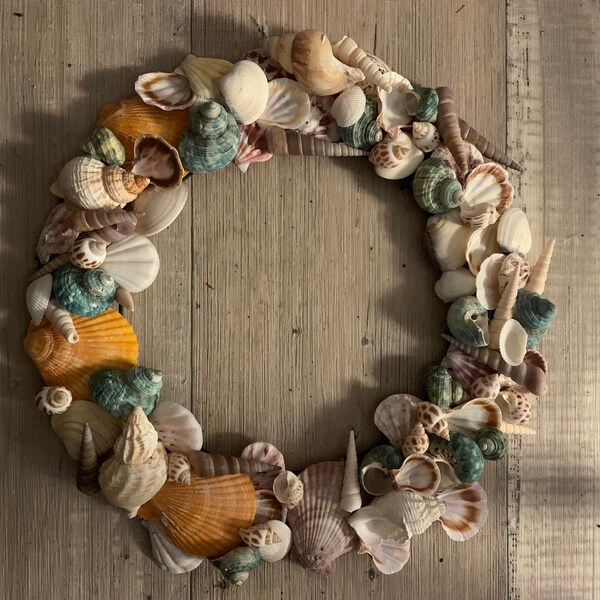 Sea Shell Wreath - Etsy
