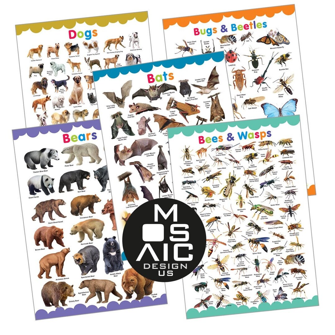 Printables, Set of Educational Posters, Montessori Classroom Decor ...