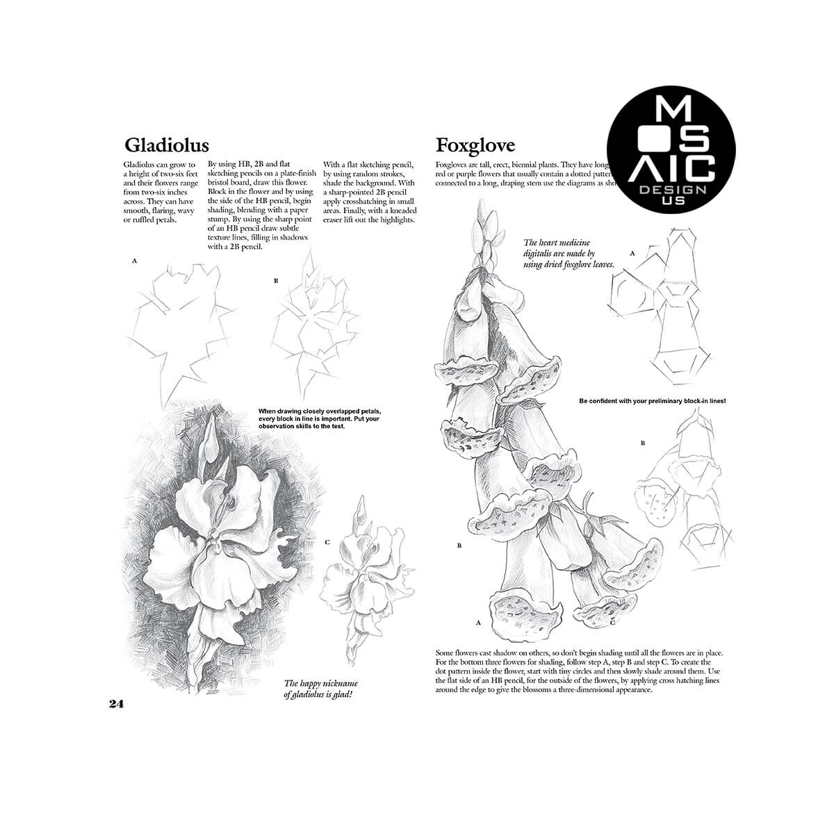 How To Draw Wanna Draw Flowers Step by step Guide Plants Etsy how-to-draw-wanna-draw-flowers-step-by-step-guide-plants-etsy