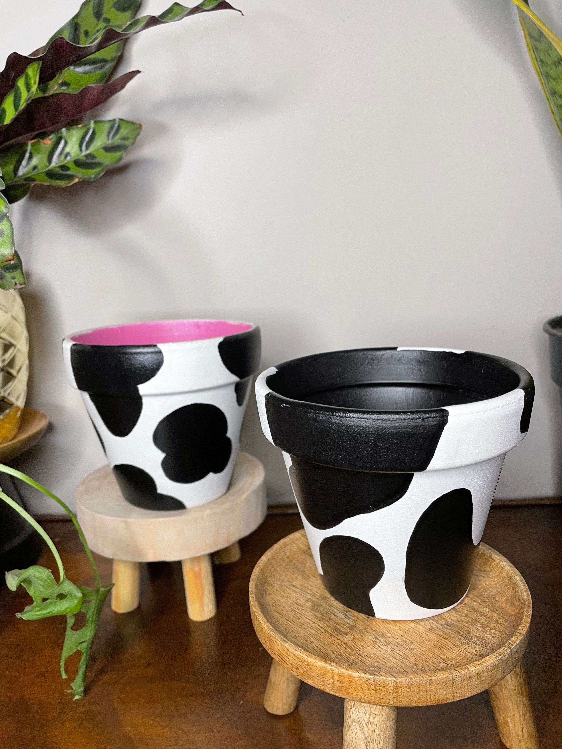 Cow Print Indoor Planter Hand Painted Plant Pot - Etsy