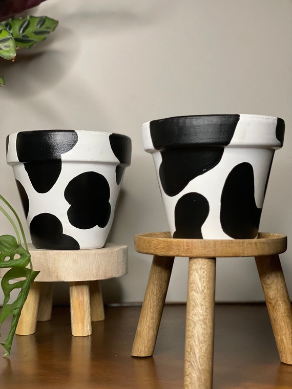 Cow Print Indoor Planter Hand Painted Plant Pot - Etsy