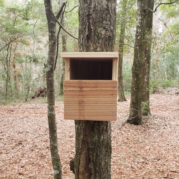 Wren Nest Box - Etsy