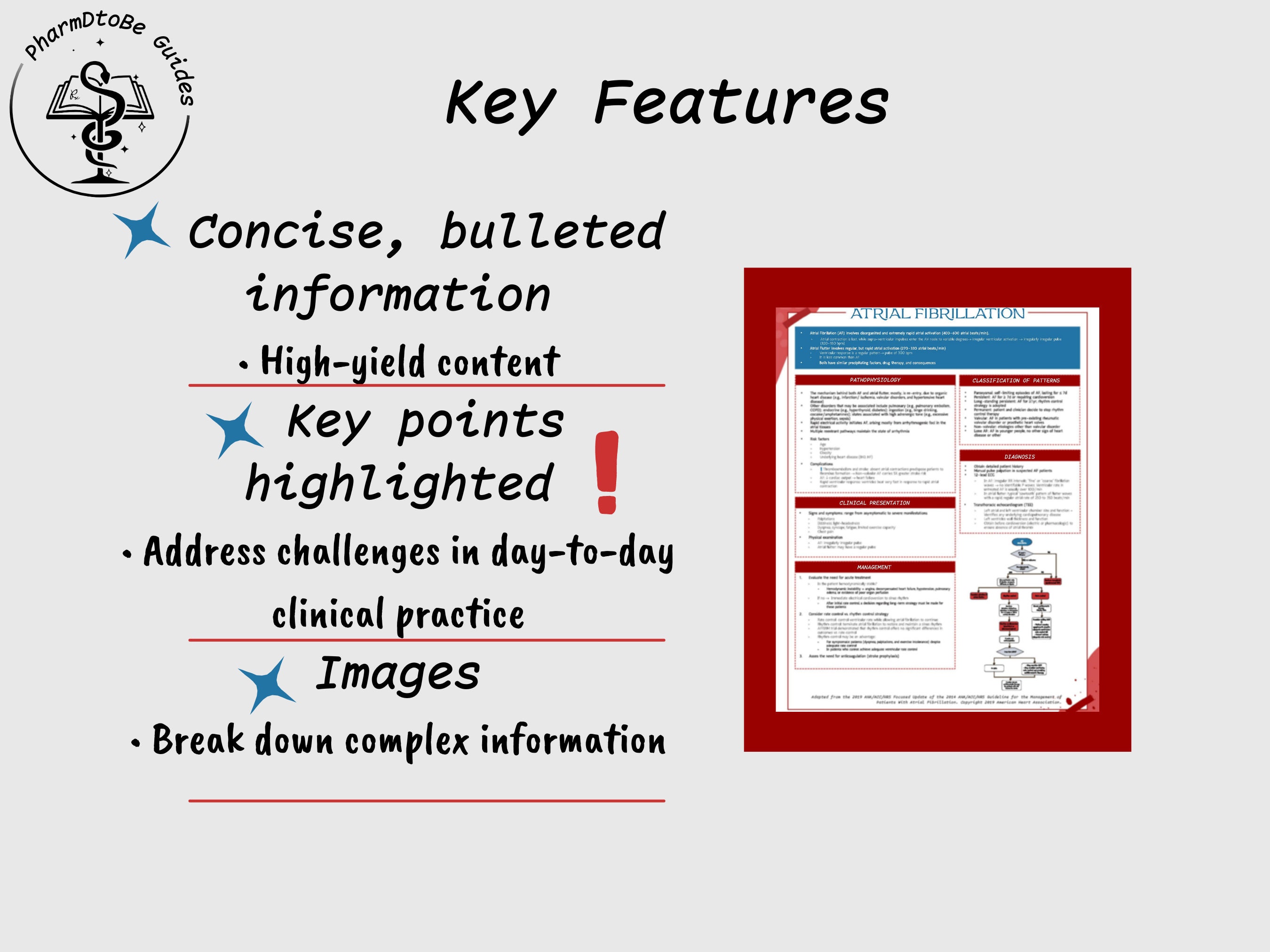 Atrial Fibrillation Study Guide Cardiology Pharmacy Studentnp Studentpa ...