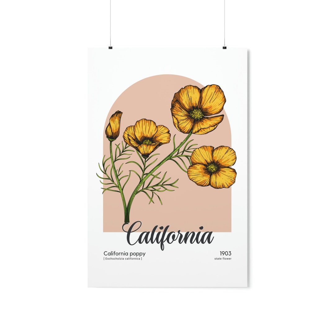 California State Flower Poster, California Poppy Wall Art - Etsy