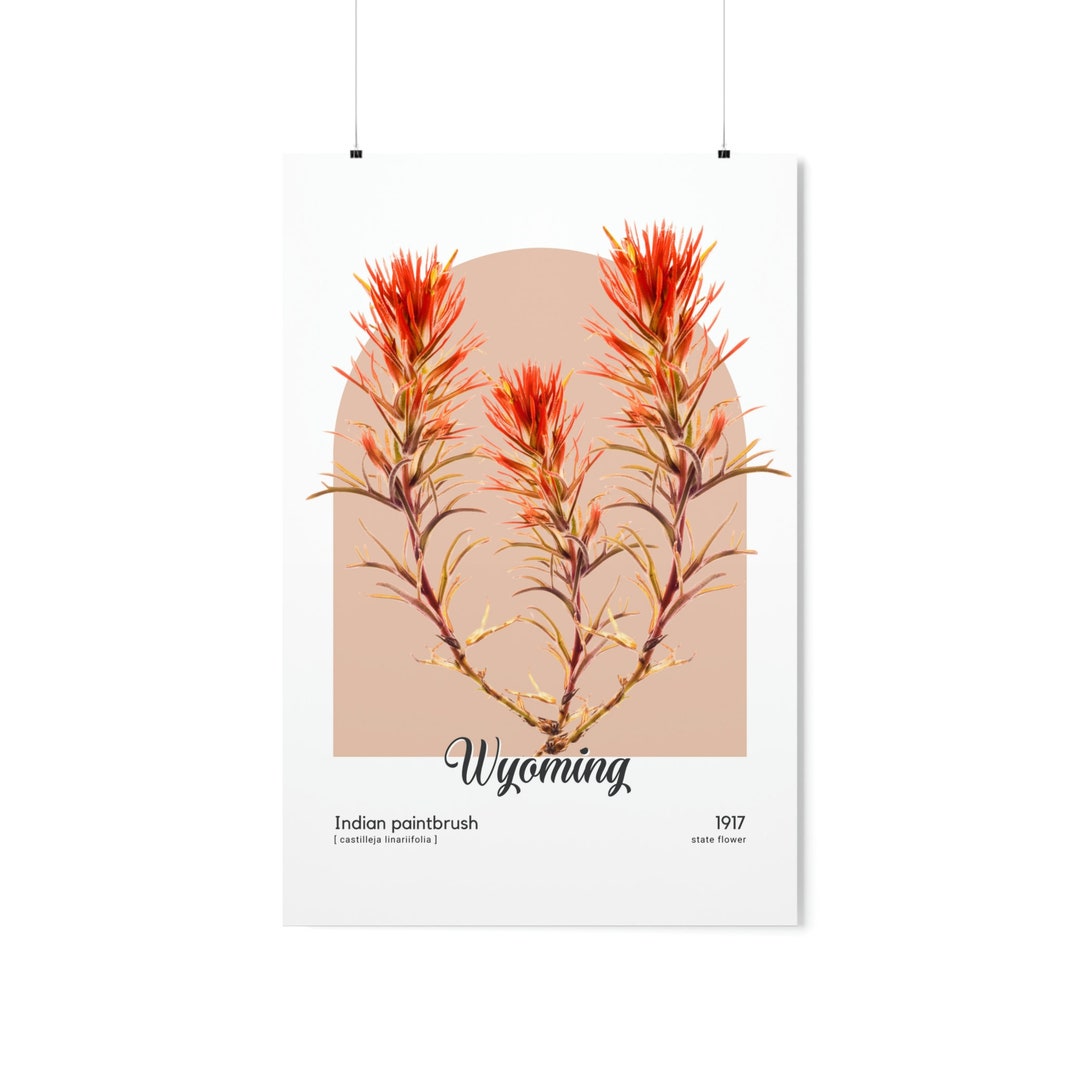 Wyoming State Flower Poster, Indian Paintbrush Wall Art - Etsy