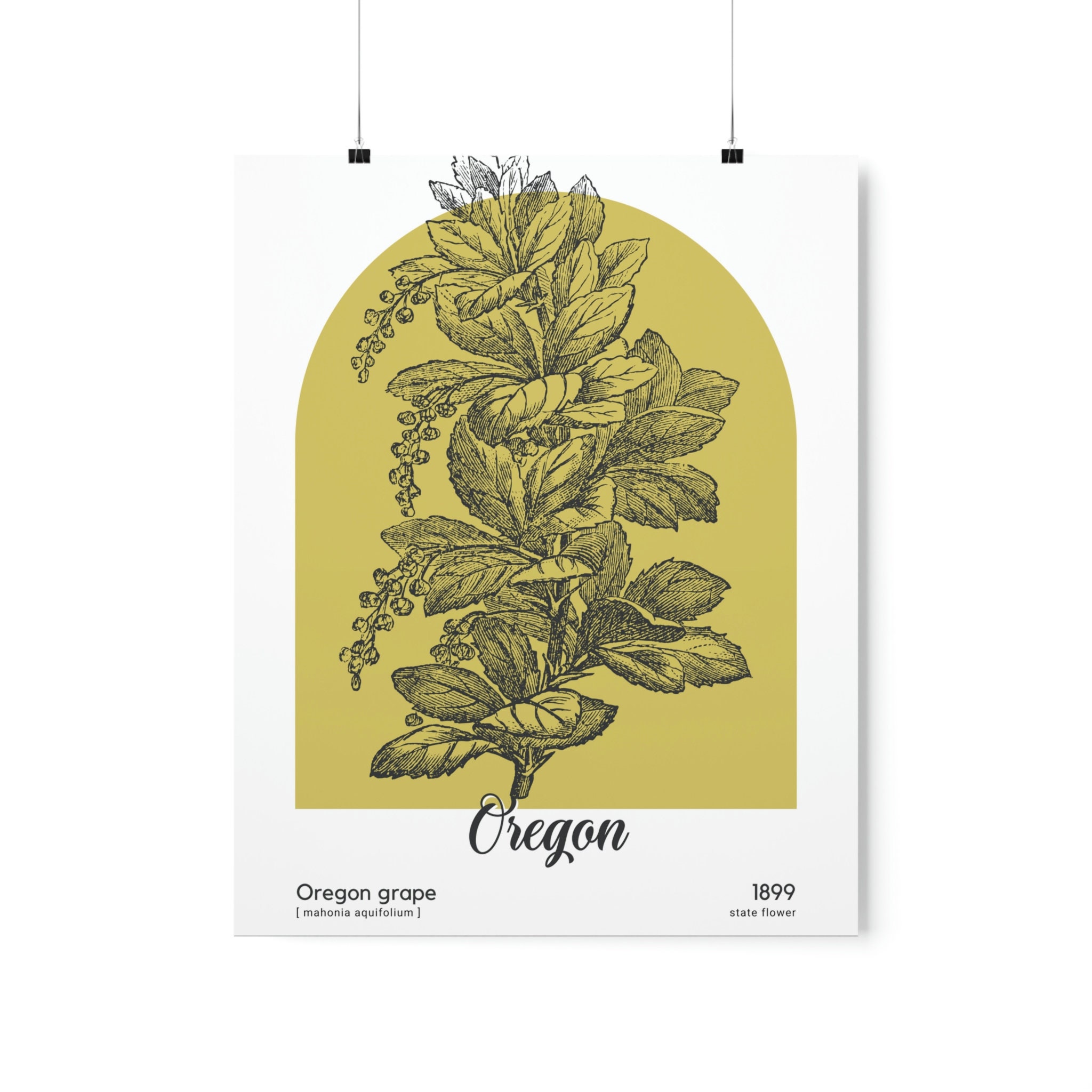 Oregon State Flower Poster, Oregon Grape Wall Art, Holly Leaved ...