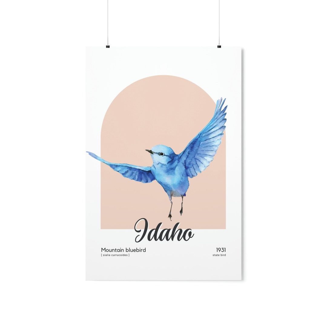 Idaho State Bird Poster, Mountain Bluebird Wall Art, Sialia Currucoides ...