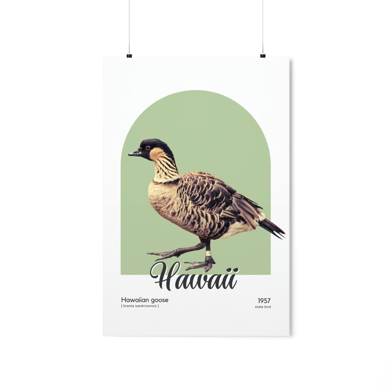 Hawaii State Bird Poster Hawaiian Goose Wall Art Nene - Etsy