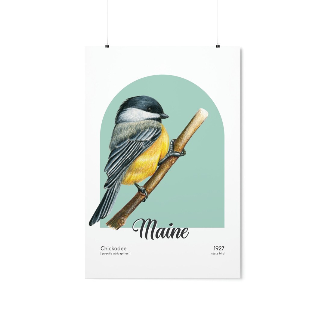 Maine State Bird Poster, Chickadee Wall Art - Etsy