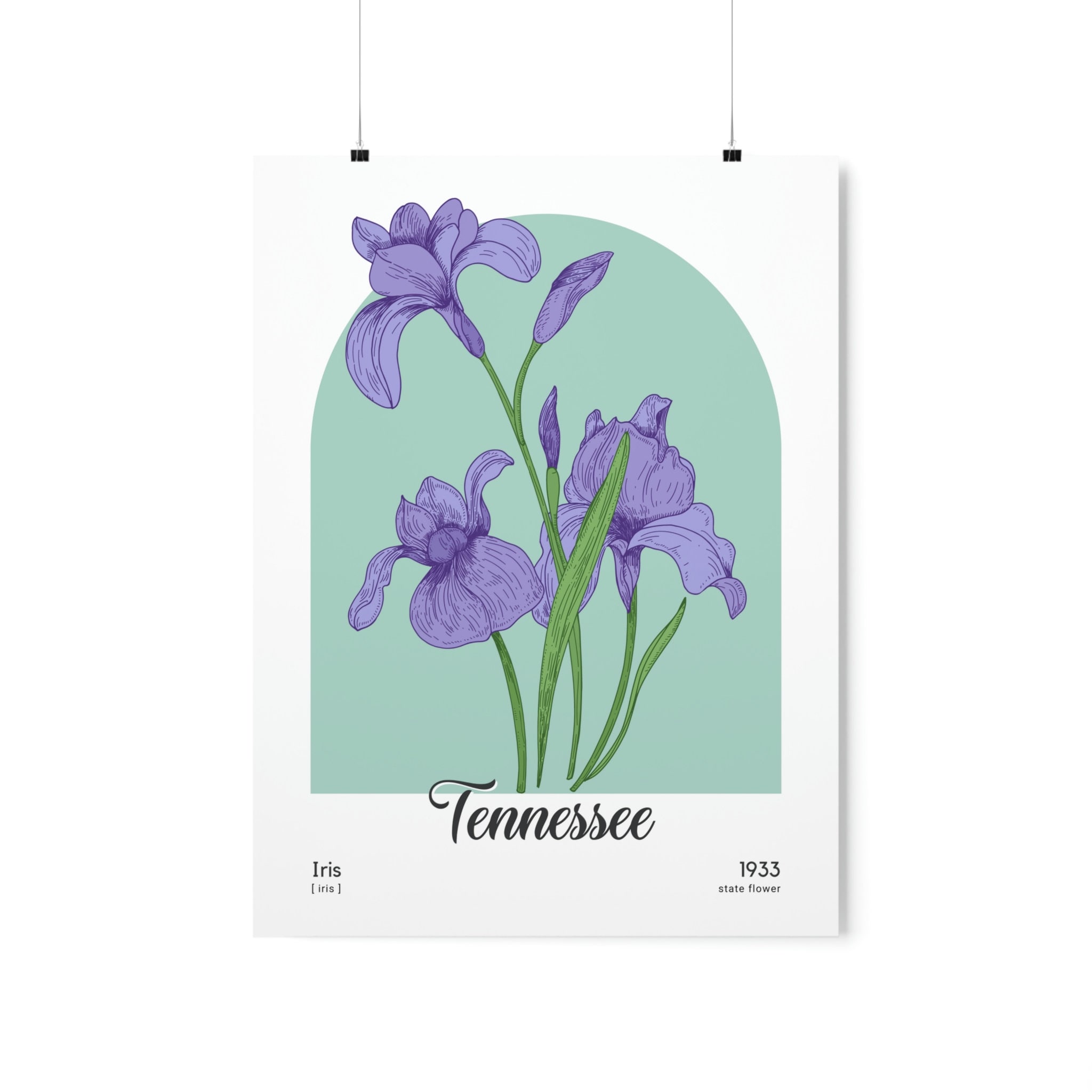 Tennessee State Flower