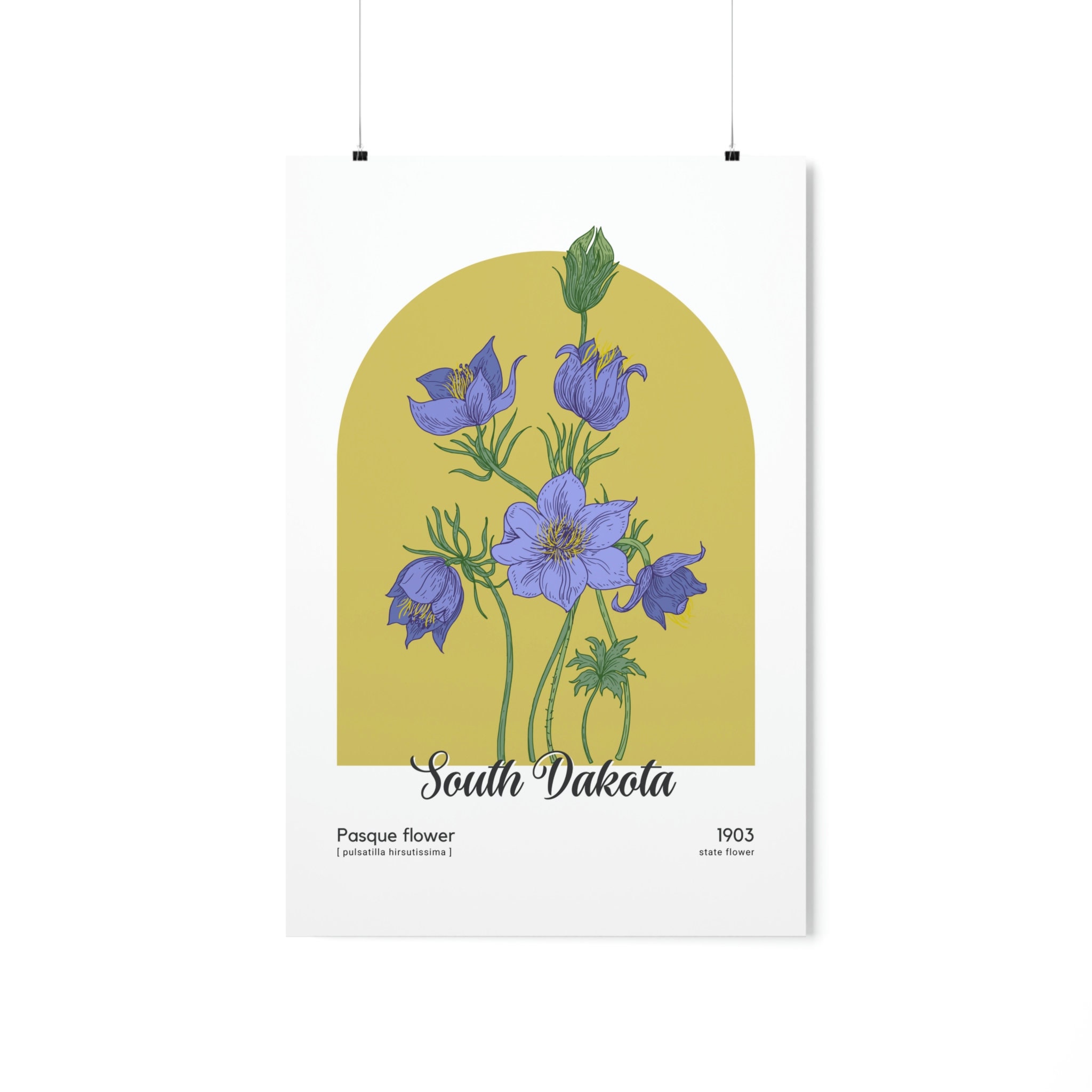 South Dakota State Flower Poster Pasque Flower Wall Art - Etsy