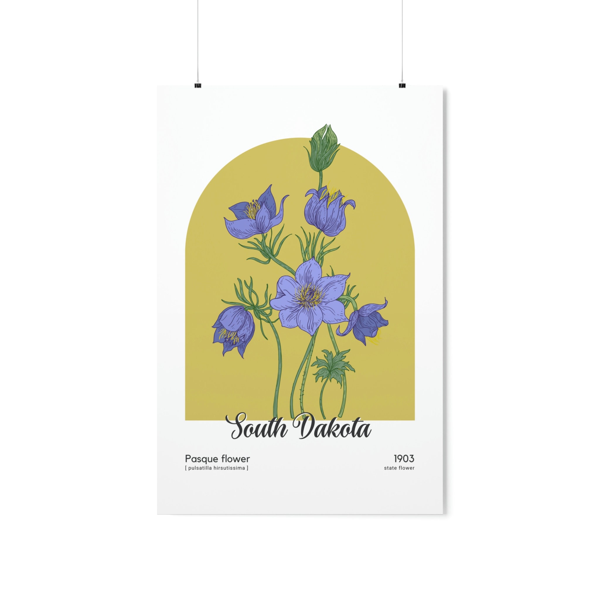South Dakota State Flower Poster, Pasque Flower Wall Art - Etsy