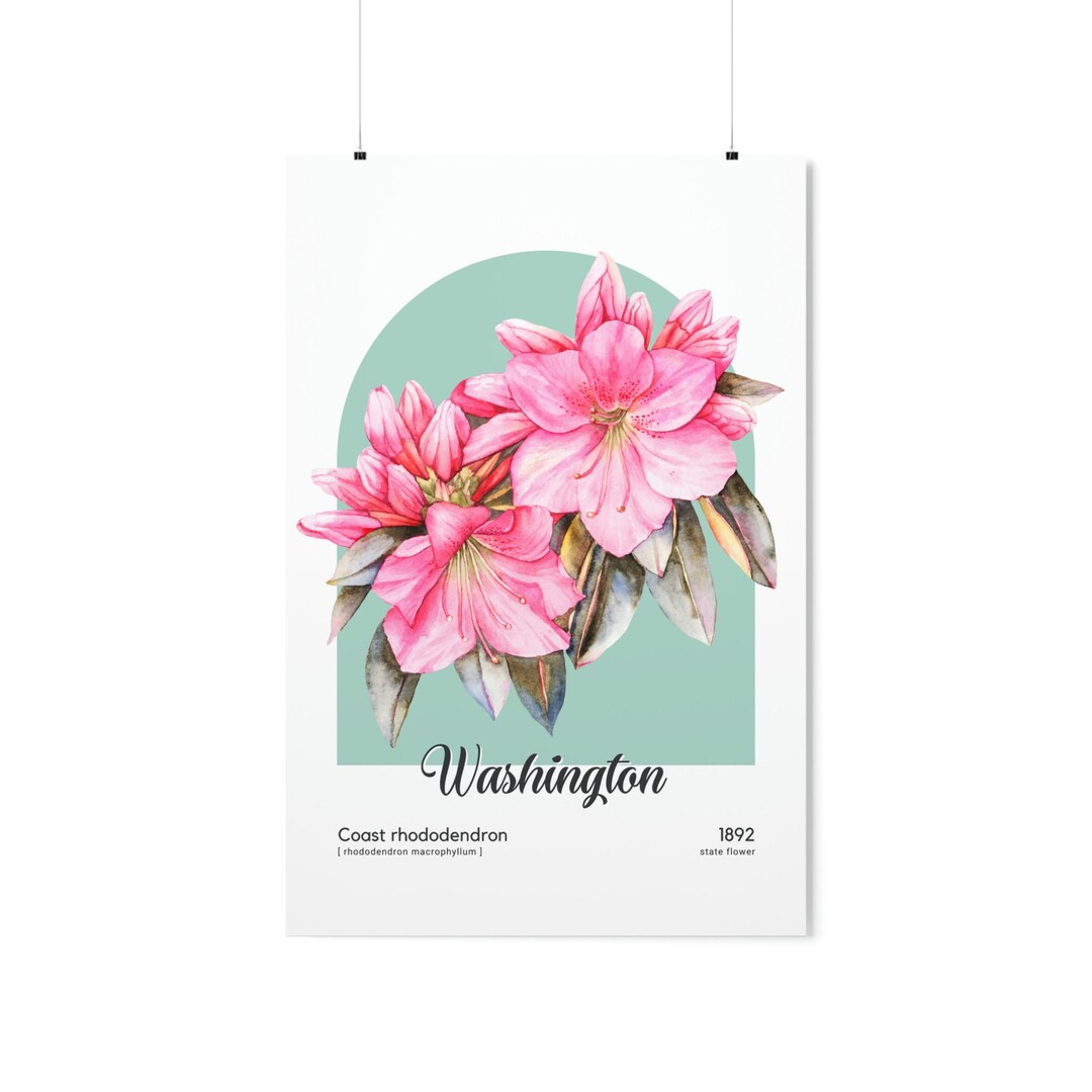 Washington State Flower Poster, Coast Rhododendron Wall Art - Etsy