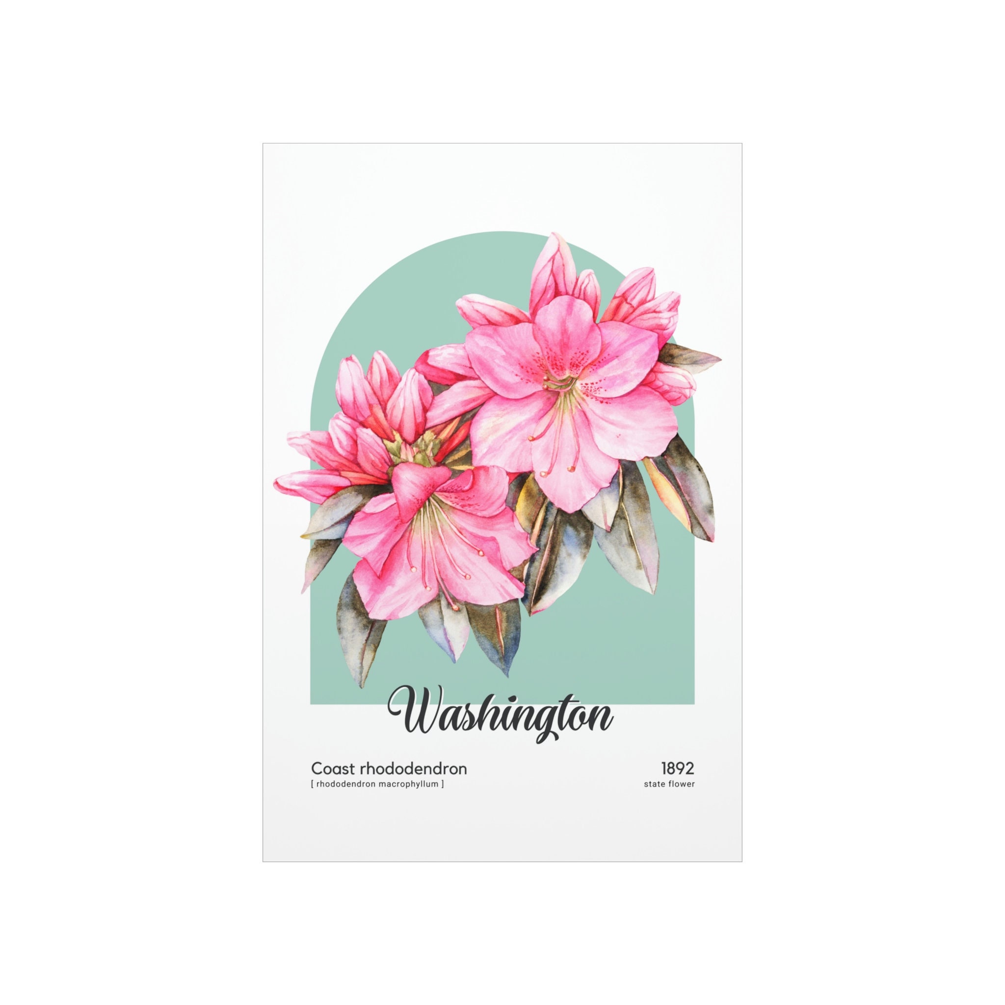 Washington State Flower Poster, Coast Rhododendron Wall Art - Etsy