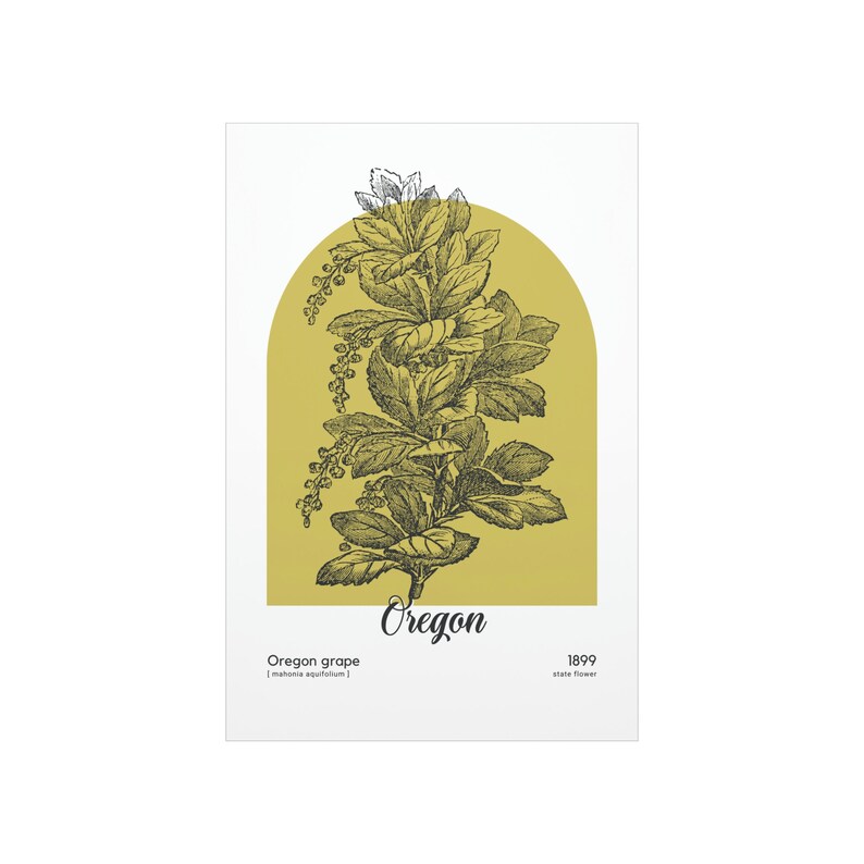 Oregon State Flower Poster, Oregon Grape Wall Art, Holly Leaved ...