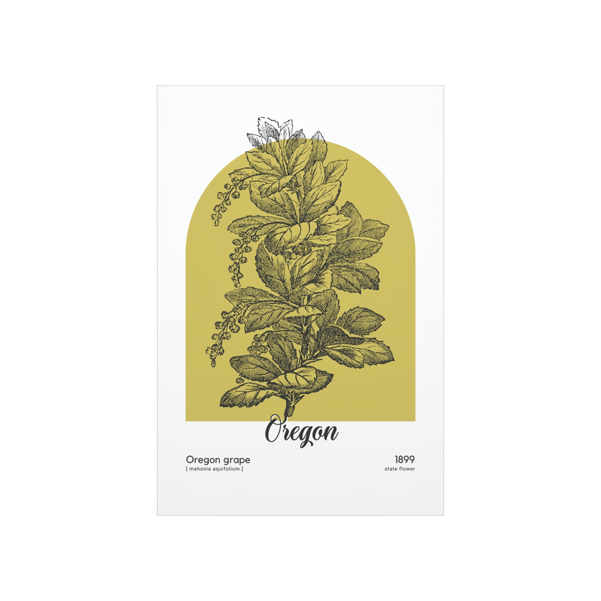 Oregon State Flower Poster, Oregon Grape Wall Art, Holly Leaved ...