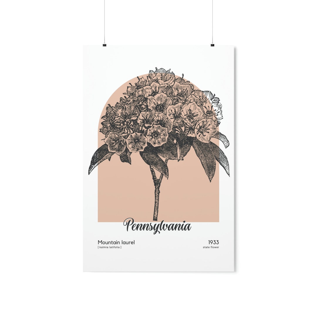 Pennsylvania State Flower Poster, Mountain Laurel Wall Art - Etsy