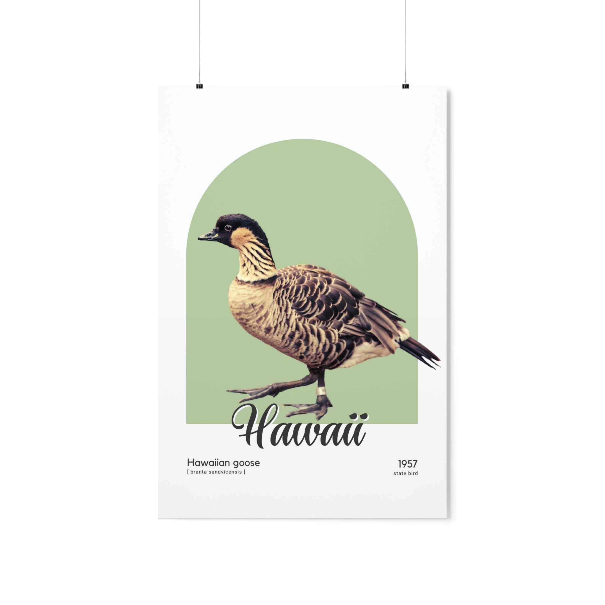 Hawaii State Bird Poster, Hawaiian Goose Wall Art, Nene, Branta ...
