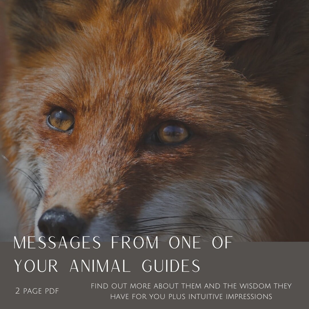 Channeled Messages From an Animal Guide - Etsy
