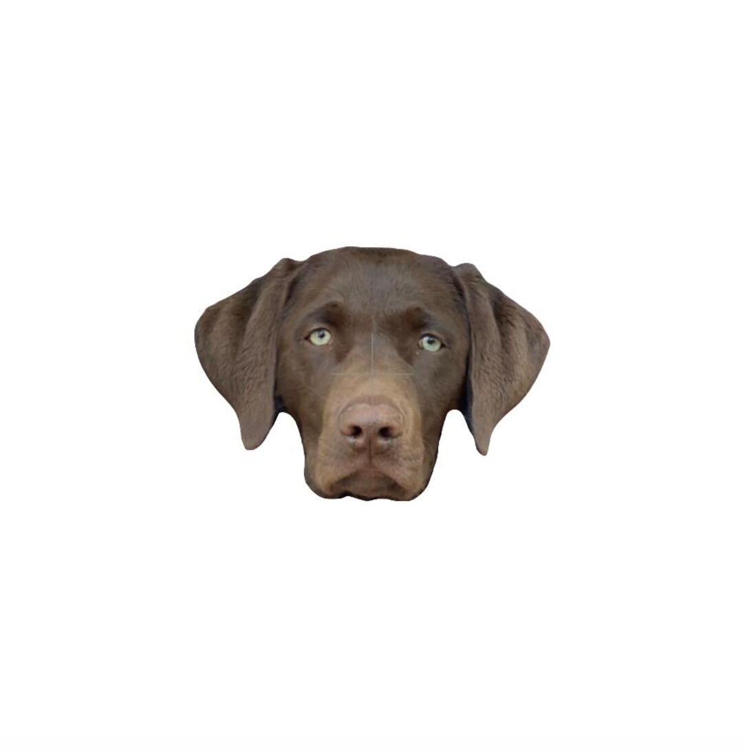 Personalized Pet Sticker - Custom Pet Lover Gift - Personalized Animal ...
