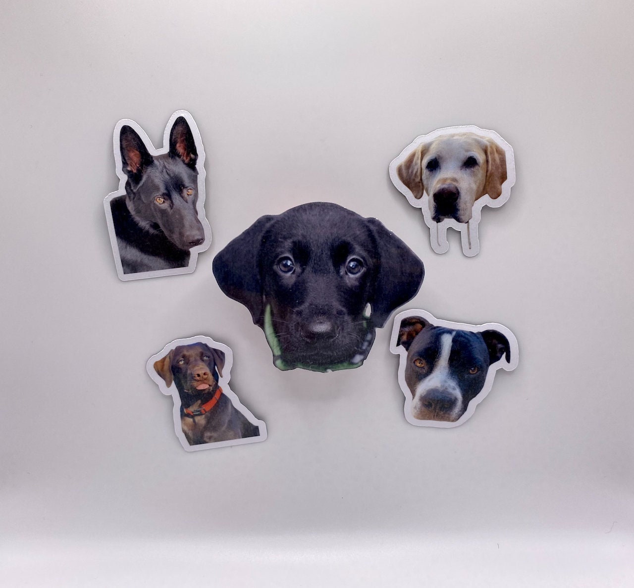 Personalized Pet Magnet Personalized Animal Magnet - Etsy