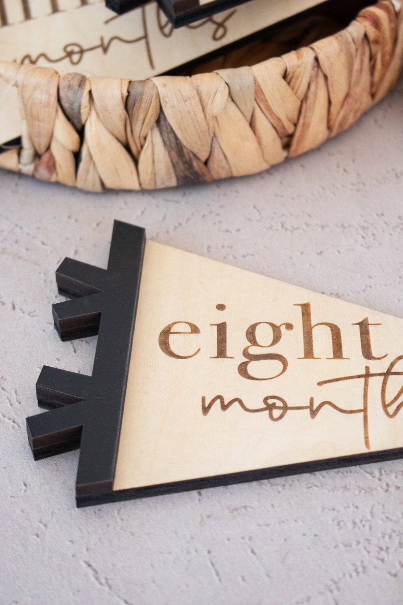 Baby Monthly Milestone Marker | Pennant Flag | Baby Photo Prop | Modern ...