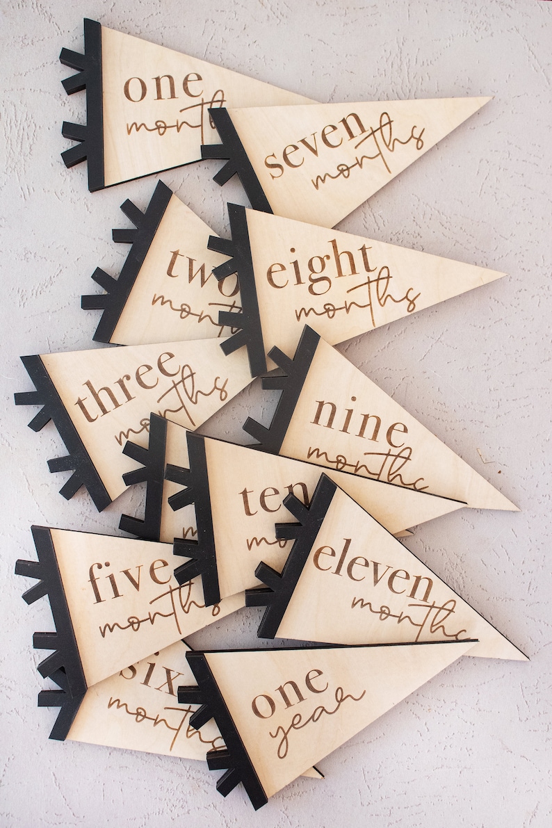 Baby Monthly Milestone Marker | Pennant Flag | Baby Photo Prop | Modern ...