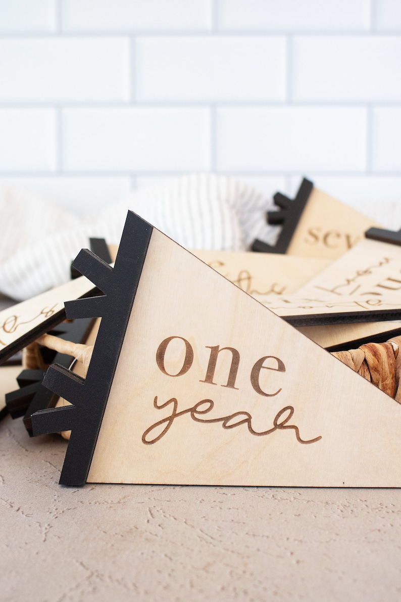 Baby Monthly Milestone Marker | Pennant Flag | Baby Photo Prop | Modern ...