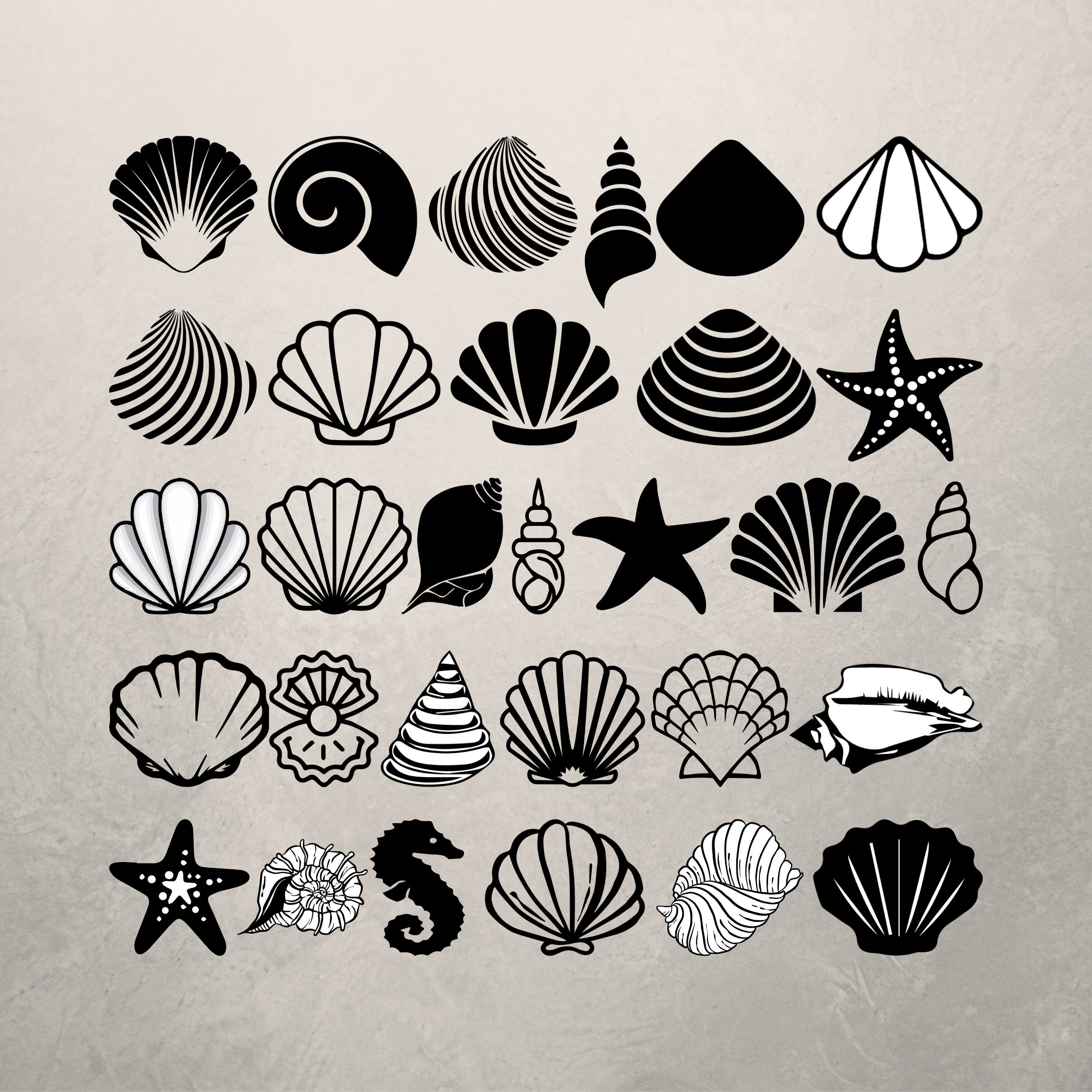 Seashell SVG Bundle Ocean Svg Beach Svg Under the Sea Svg | Etsy Australia