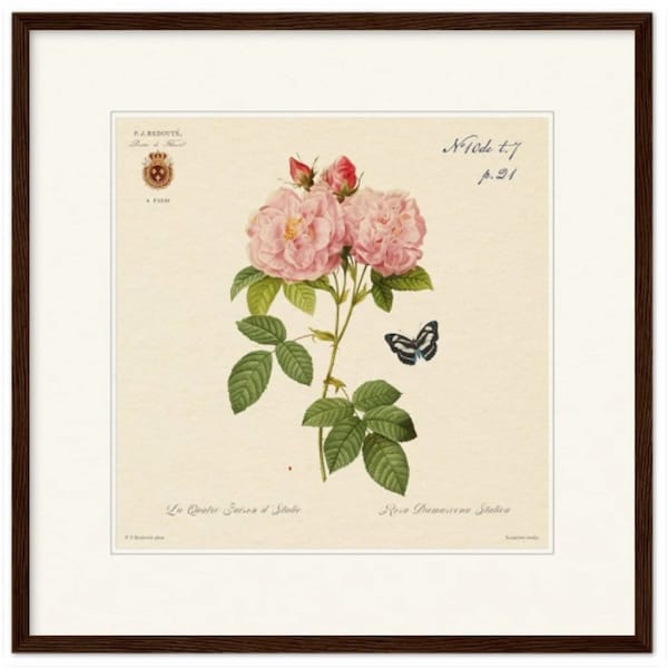 Botanical Rose Print - Etsy