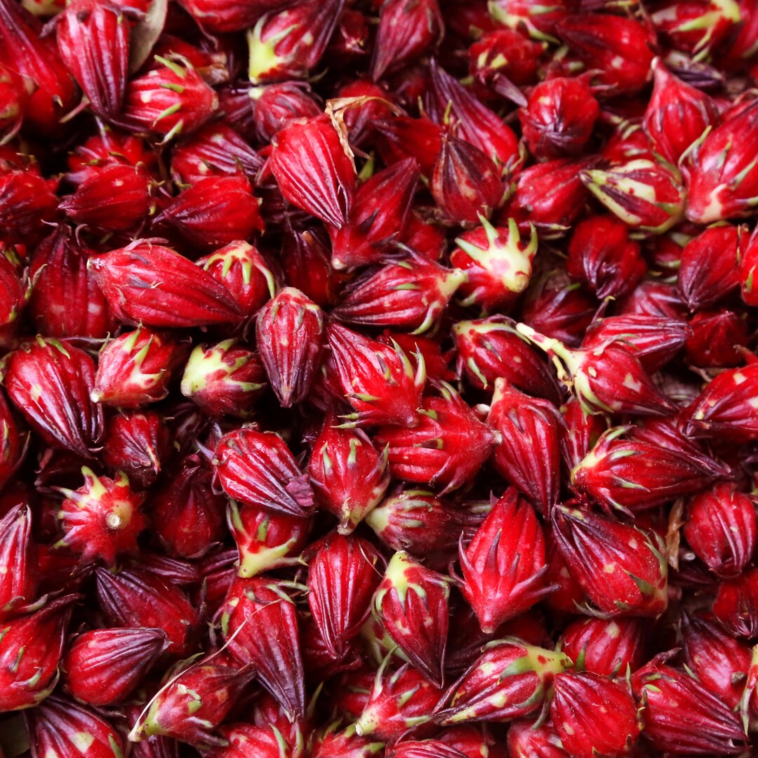 Red Roselle Seeds – Hibiscus Sabdariffa for Tea & Edible Calyx ...