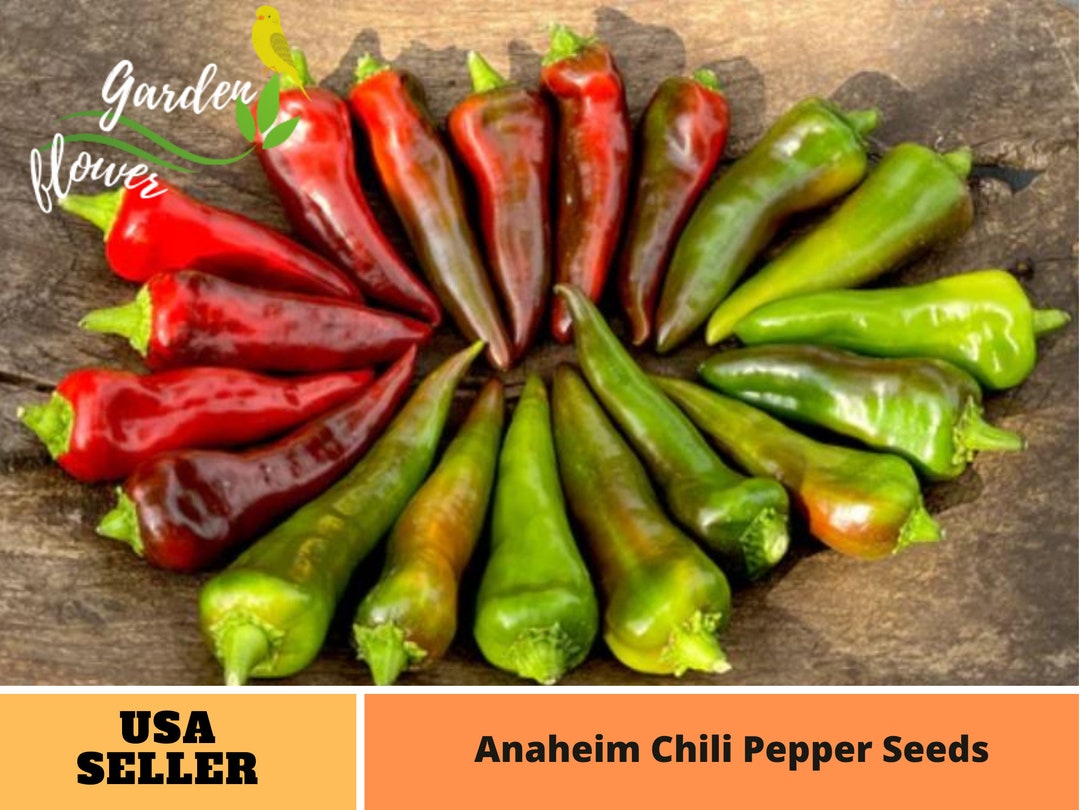30 Seeds Pepper Anaheim Chili capsicum Annuum Seeds Vegetable Seeds ...